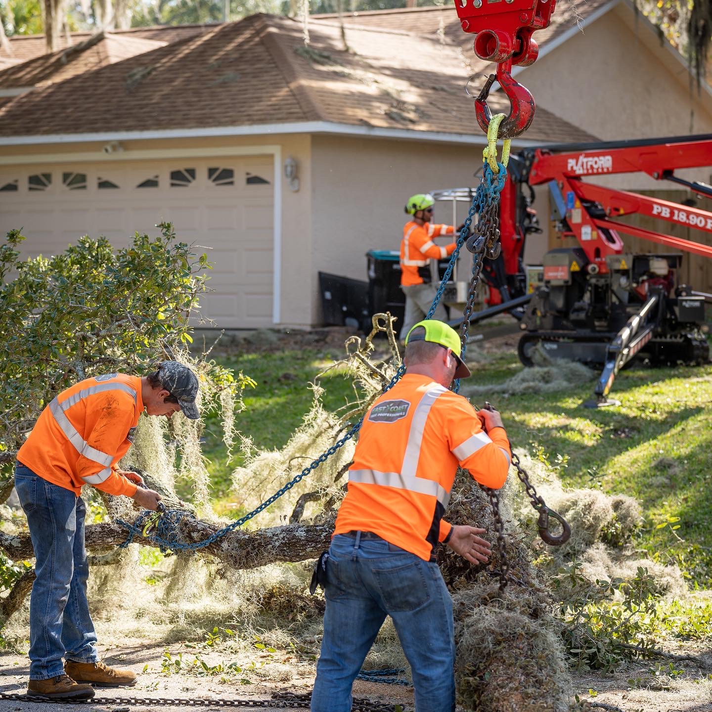 Tree Service Palm Bay | Tree Service Melbourne | ISA Certified Arborist