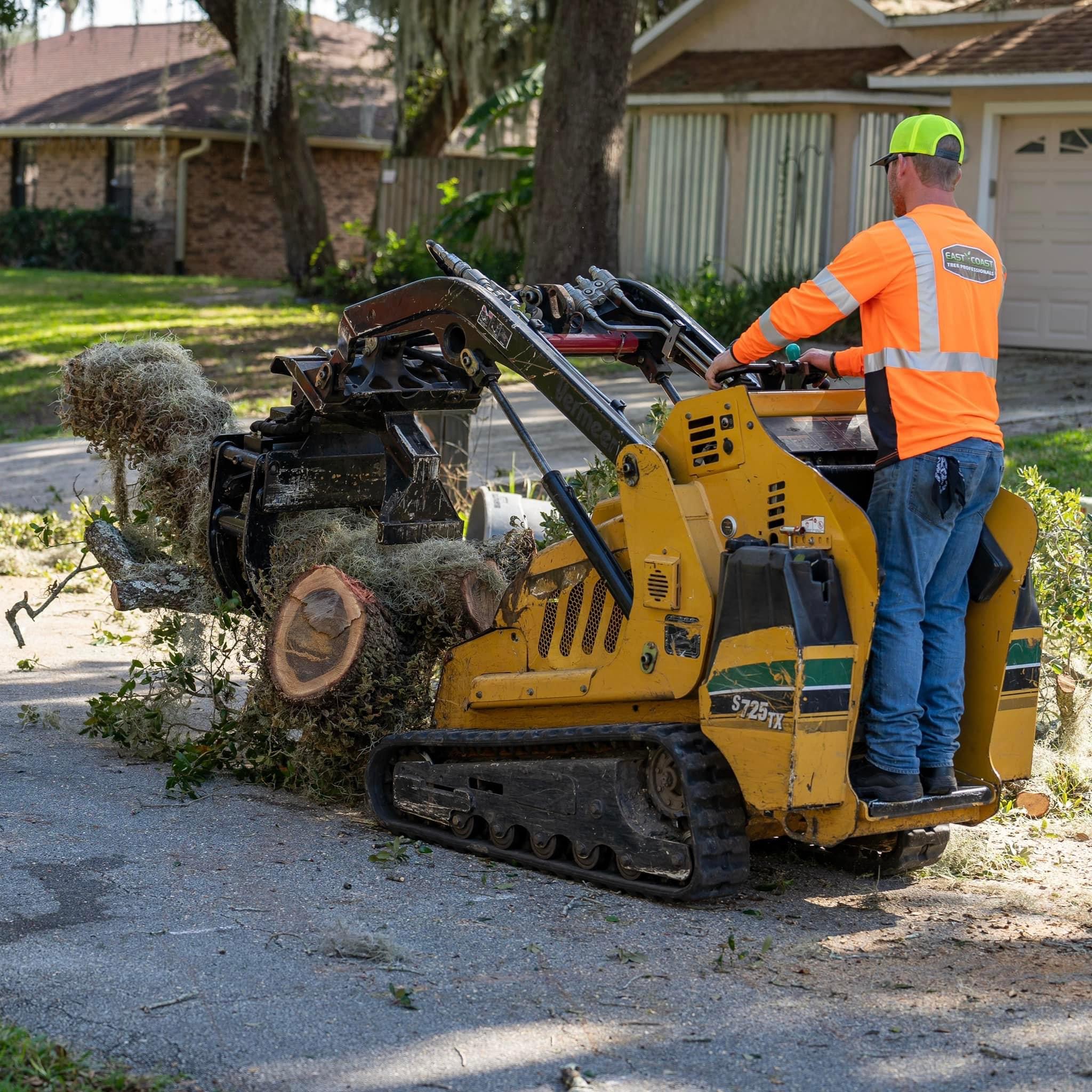 Tree Service Melbourne FL | Tree Service Palm Bay FL | Merritt Island FL