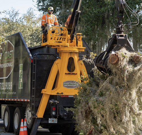 Debris Hauling - EAST COAST TREE PROFESSIONALS